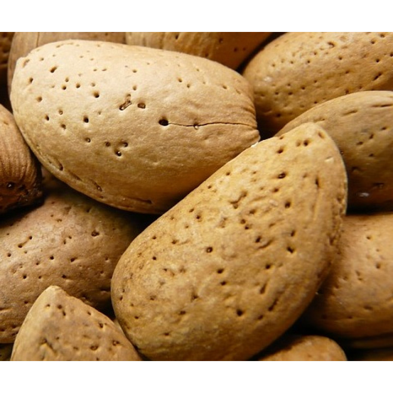 Zora mandľa strom čiastočne samoopelivá sladka chuť