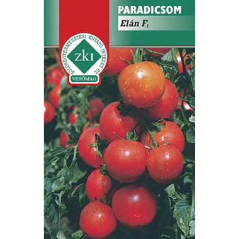 Elán F1 paradajka kríčková semena madarske