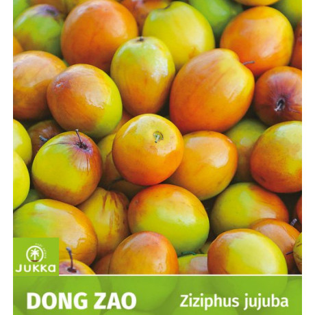 Dong Zao ziziphus jujuba čínská ďatla sladká chutna